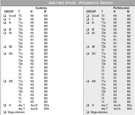 Ajcc Cancer Staging 7th Edition