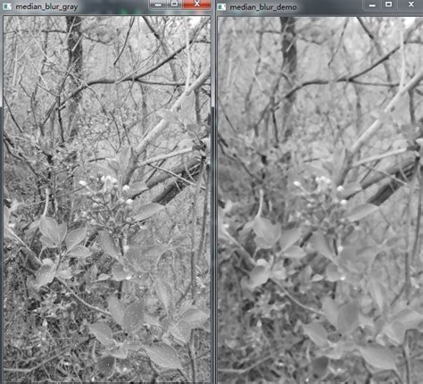 python实现模糊操作 山那边不是山 博客园