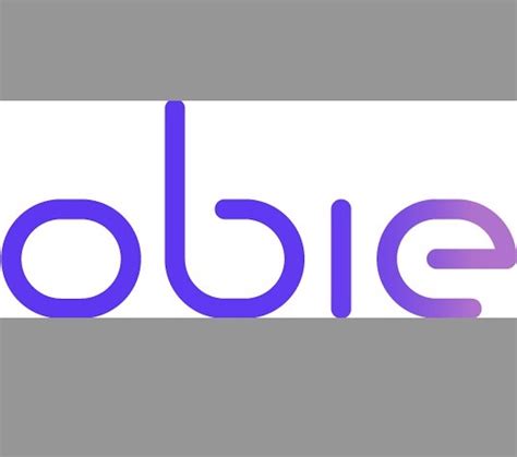 Obie Insurtech Startup Raises 25 Million In Series B Funding