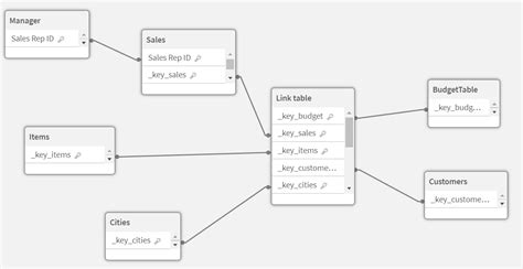 Business Intelligence Issue With Loading Data Into Qlik Sense And Avoiding Circular References