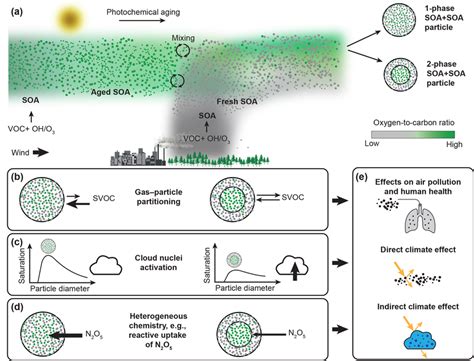 Formation Of Aerosol Particles Containing Internal Mixtures Of Download Scientific Diagram