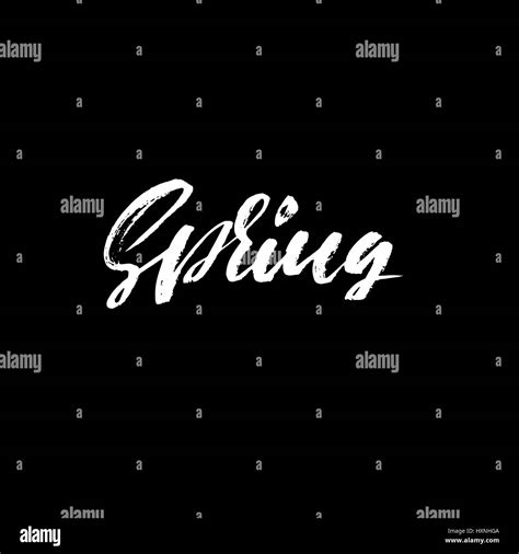 Handwritten Lettering Spring Hand Drawn Calligraphy Letters Vector