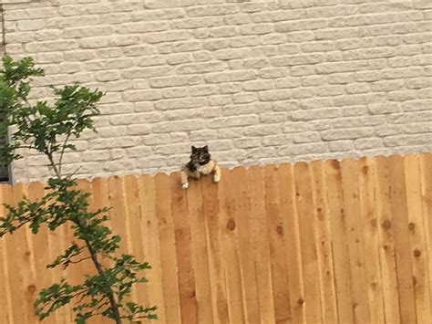 Setting Up Jest Under Expo To Work With Jsx Files By Russell Hunter Level Up Coding