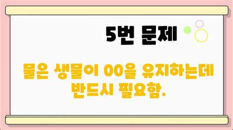 재미로 하는 초성퀴즈물의 여행 Youtube