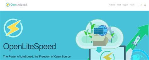 发现 Nginx 替代方案：探索最佳 Web 服务器选项 Wpade