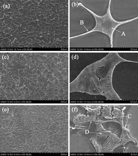 Sem Micrographs Of As Cast Alloy І A And B As Cast Alloy ІІ C