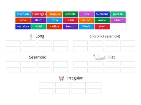Bone Classification Group Sort