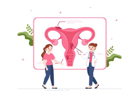 Vagina Anatomy Illustrations Free In Svg Png Eps Iconscout