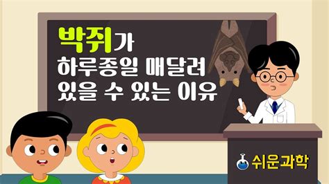 쉬운과학 박쥐가 하루종일 매달려 있을 수 있는 이유 Youtube