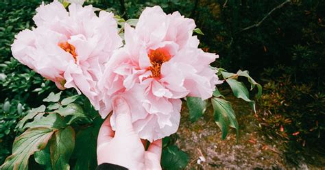 Simply Put Theres No Such Thing As A ‘virginity Test