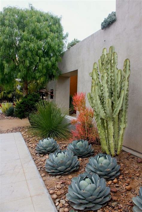 21 Cheap Desert Backyard Landscaping Ideas Drought Tolerant Gardens