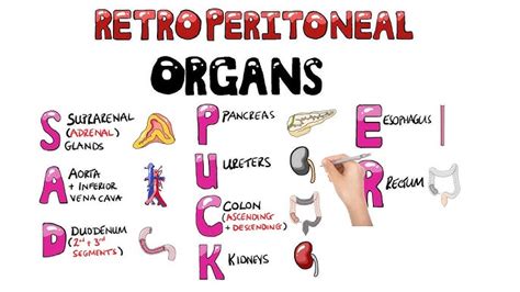 Retroperitoneal