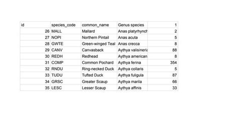 Errors Reported That Dont Exist Rpihole