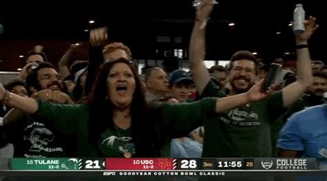 College Football Fan 