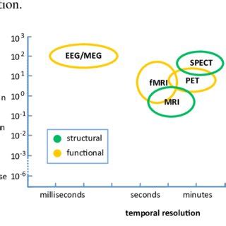 Different Brain Imaging Modalities And Their Spatial And Temporal Download Scientific Diagram