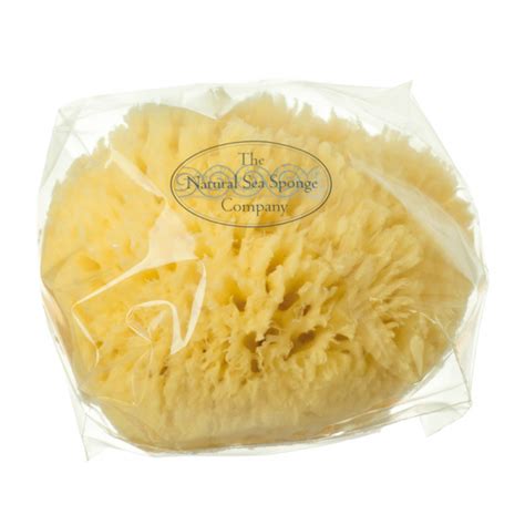 Губка для тела Hydrea London Wool Sea Sponge | отзывы