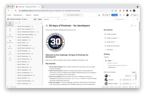 Who Survived The 30 Days Of Postman Challenge Postman Blog