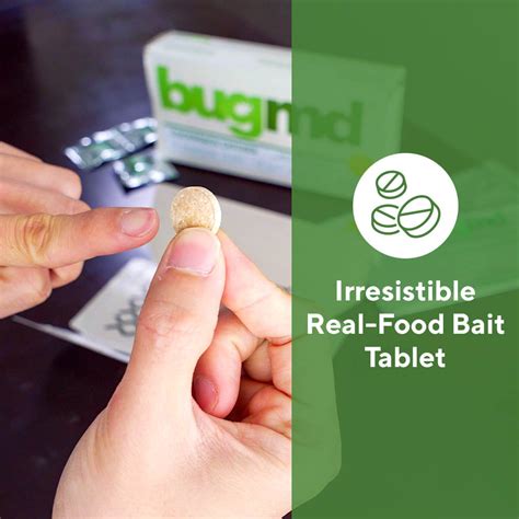 Bugmd Cockroach Catcher Adhesive Traps With Bait Bugmd