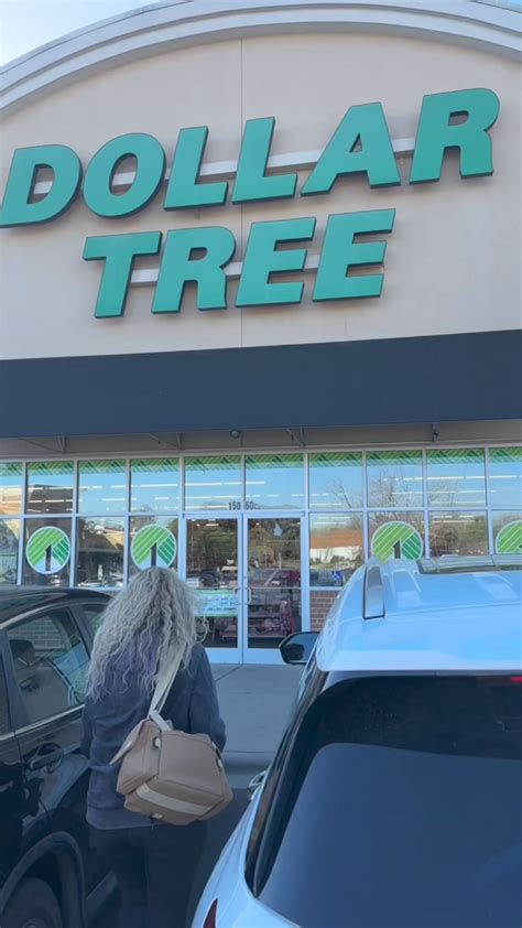 2024 Dollar Tree Finds And Dupes Tips From A Pro Dollartree
