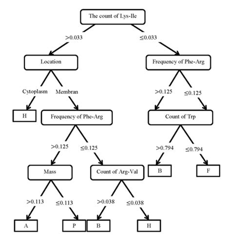 A Tree Generated By Id3 Model With Gini Index Criteria A Animal F
