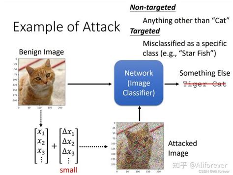 深度学习 十三 Adversarial Attack 理论部分 知乎