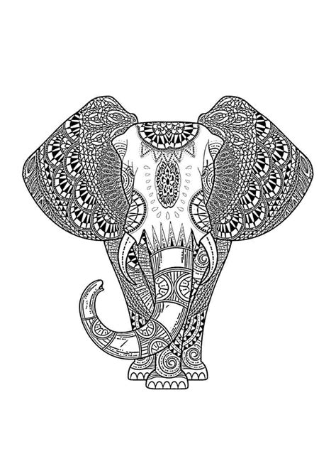 Раскраски Маленькая мордочка слона Лучшие раскраски Детализированная раскраска гиганта