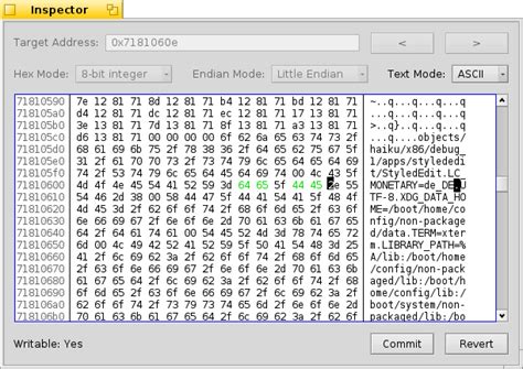 Debugger Editing Memory Haiku Project