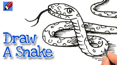 Steps To Draw A Snake