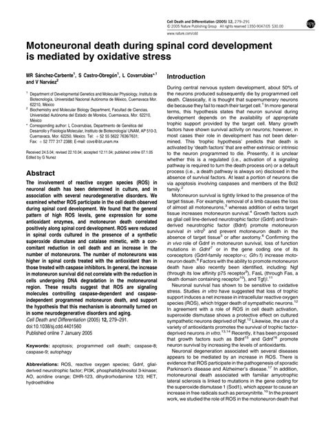 Pdf Motoneuronal Death During Spinal Cord Development Is Mediated By