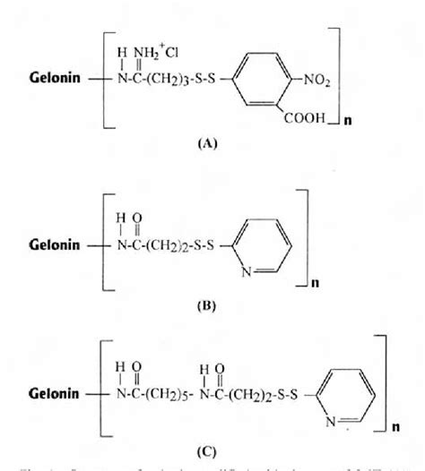 Table I From Role Of Positive Charge Of Lysine Residue On Ribosome