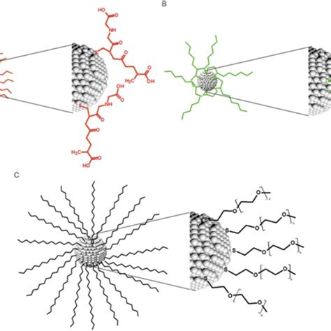 Schematic Representation Of Spherical Silver Nanoparticles And Their
