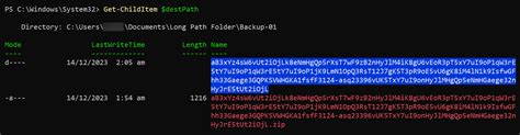Addressing The Windows Error Destination Path Too Long
