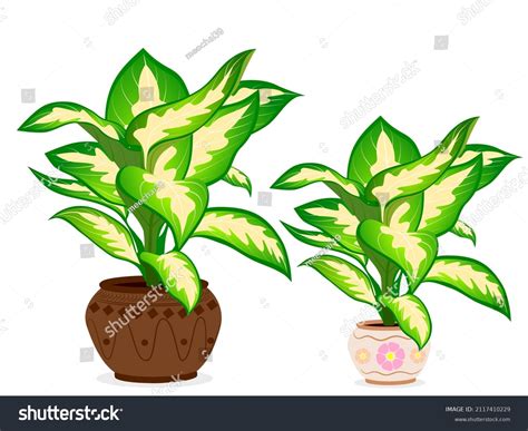 2 Bunga Lili Stock Vectors Images And Vector Art Shutterstock