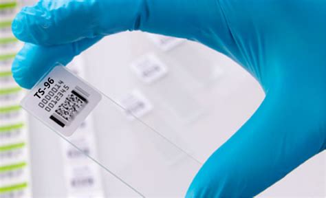 How To Label Microscope Slides Efficiently