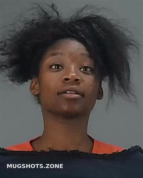 Stanford Janyia Denae 06292023 Summit County Mugshots Zone