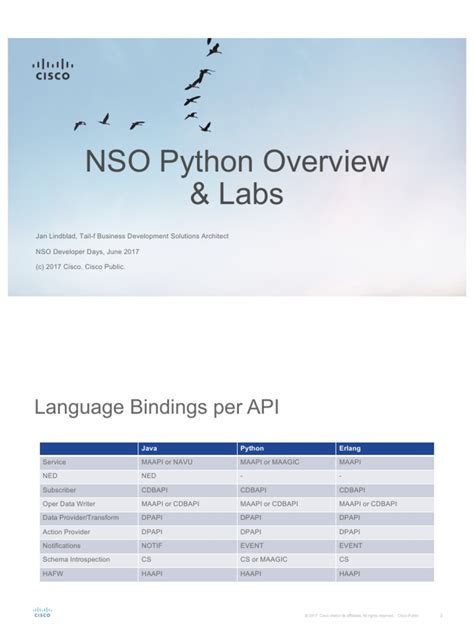 1b02 Bring Your Python To The Nso Circus Nso Devdays 2017 Pdf Java Programming Language