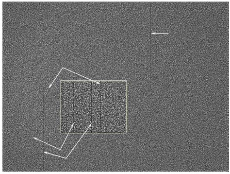 Analyzed Image Of Large Array Arrows Denote The Line Geometry Defects