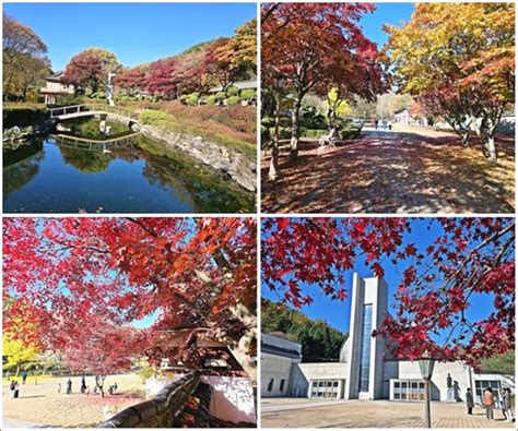 충북 제천 가볼만한곳 천주교 성지 가을 제천 단풍 명소 배론성지 단풍 네이버 블로그