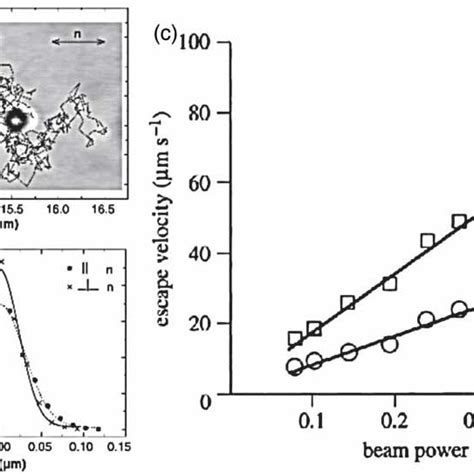 Typical Topological Defects Observed In A Liquid Crystal Sample With