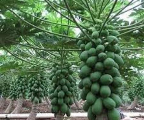 Buba Conteh On Linkedin We Are Better Toweger