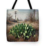 The Deserted Cactus Photograph By Paisley Marten Fine Art America