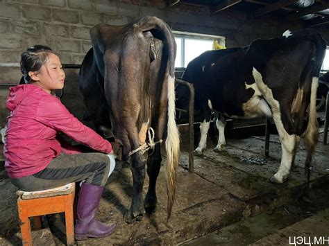 Хүүхдүүддээ хөдөлмөрт дуртай болж хүмүүжиж байгааг харах жаргалтай Цэц МН