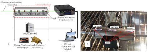 Simultaneous Strain And Temperature Discrimination In 18650 Li Ion Batteries Using Polarization