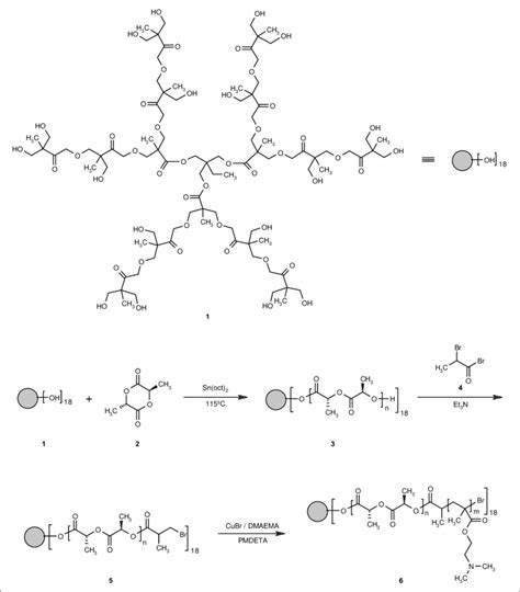 Scheme 1 The Synthesis Of Dendritic Star Block Copolymers By