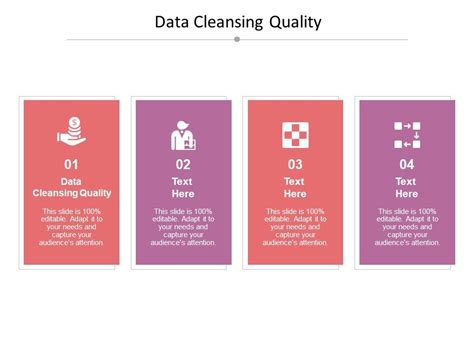 Data Cleansing Quality Ppt Powerpoint Presentation Icon Graphics Design Cpb
