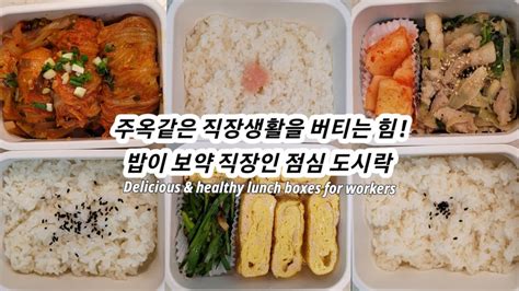 도시락 Vlog L 주옥같은 직장생활 울지 말고 밥먹고 힘을 내ㅣ직장인 점심 도시락 🍎 삼겹살김치말이찜 명란계란말이 삼겹살