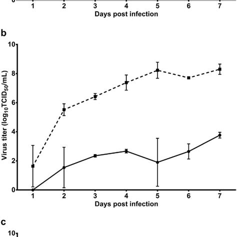 Kinetic Replication Curve Analyses Comparison Of Replication Curves