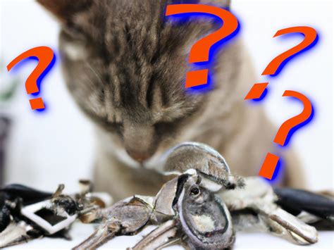 Managing Your Gpg Keys The Right Way Jean Yves Toumit