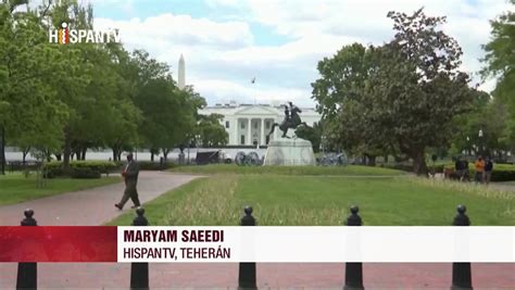 Maryam Saeedi En Linkedin News Reporter Periodista Newscoverage