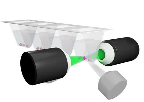 Lightsheet Leica Viventis Ls2 Live Center For Microscopy And Image Analysis Uzh